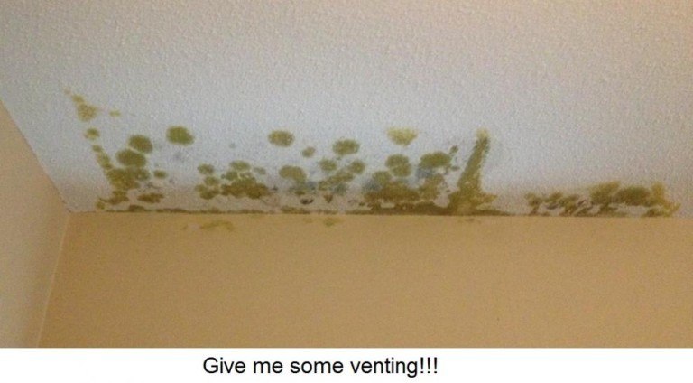 Ceiling Mold May Come from the Inside | Why Venting is a must