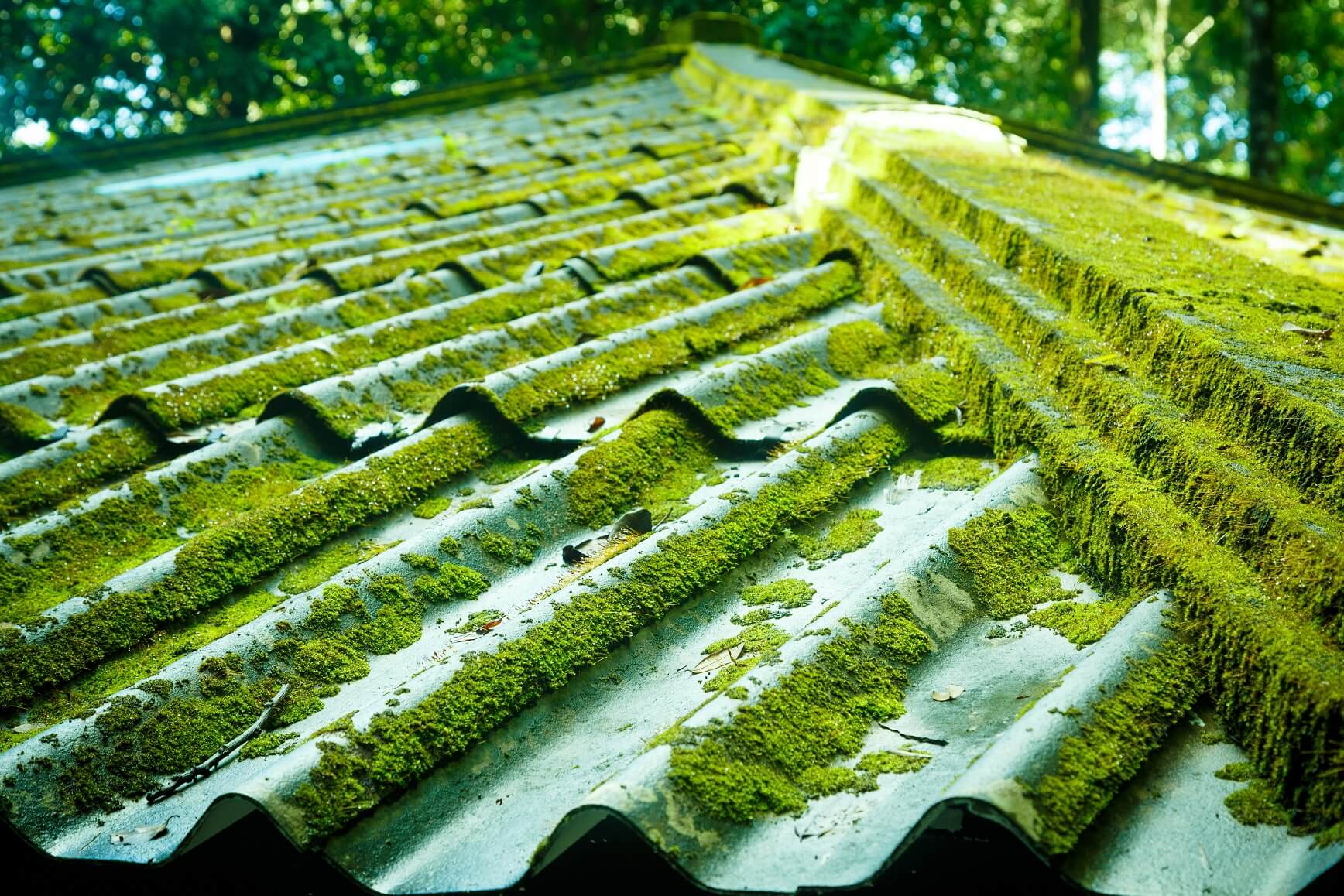 Moss On Metal Roofs ROTban Blog Moss On Metal Roofs ROTban Blog