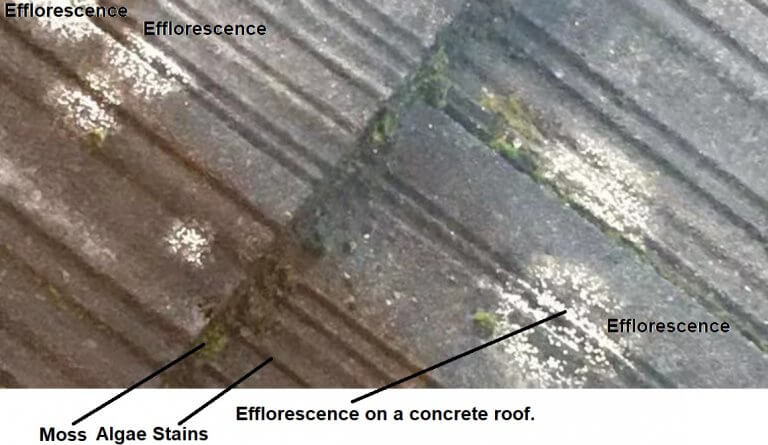 What are white marks on concrete roofs and how can they be removed?